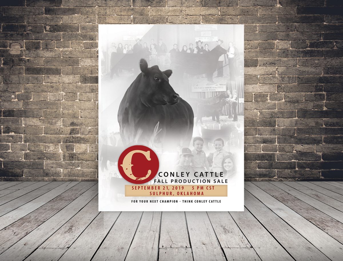 2019 Conley Cattle Catalog – SCI.Design